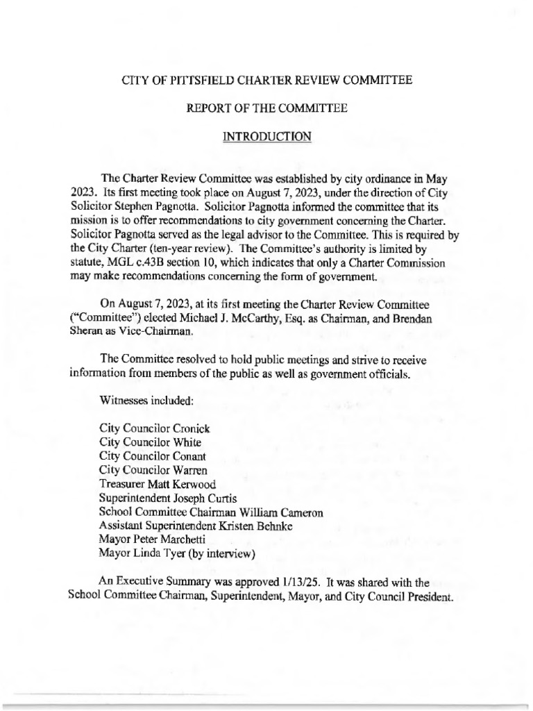 Charter Review Report | PDF | Committee | Elections