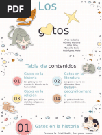 Texto Expositivo El Gato | PDF
