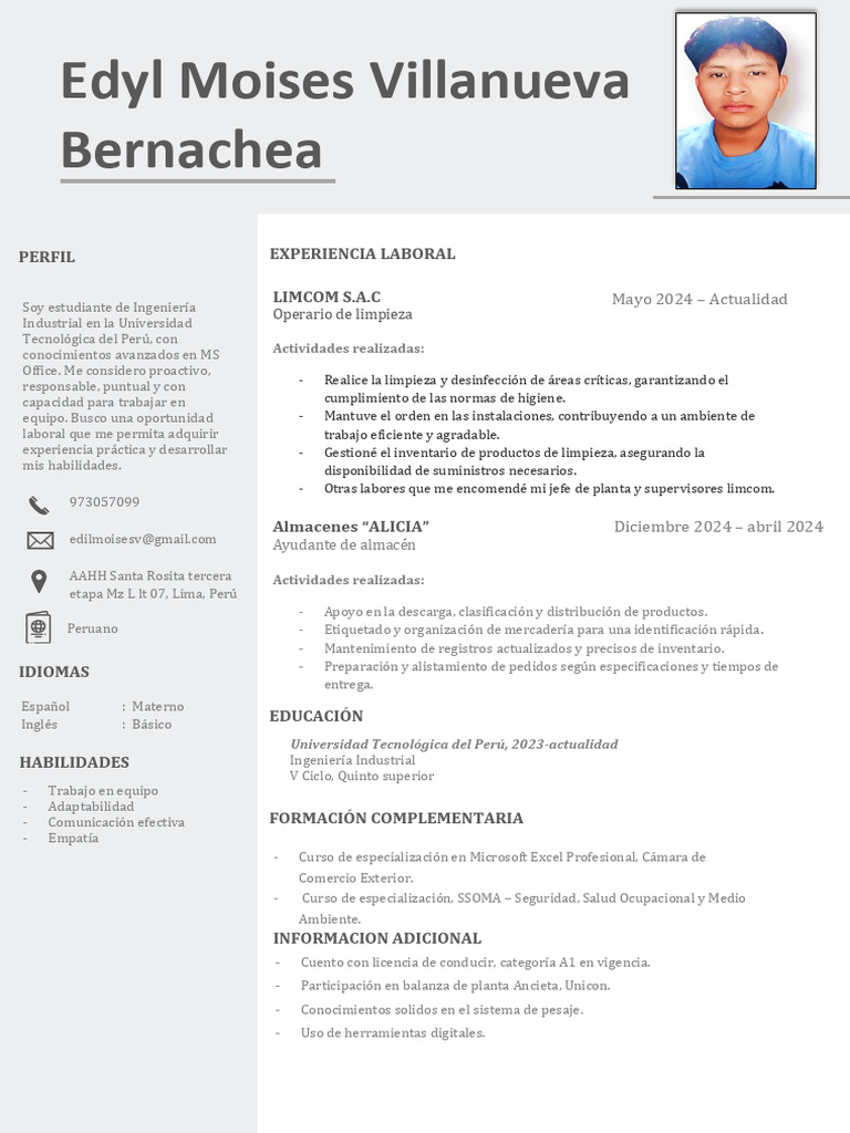 Cv-Moises Villanueva | PDF | Perú