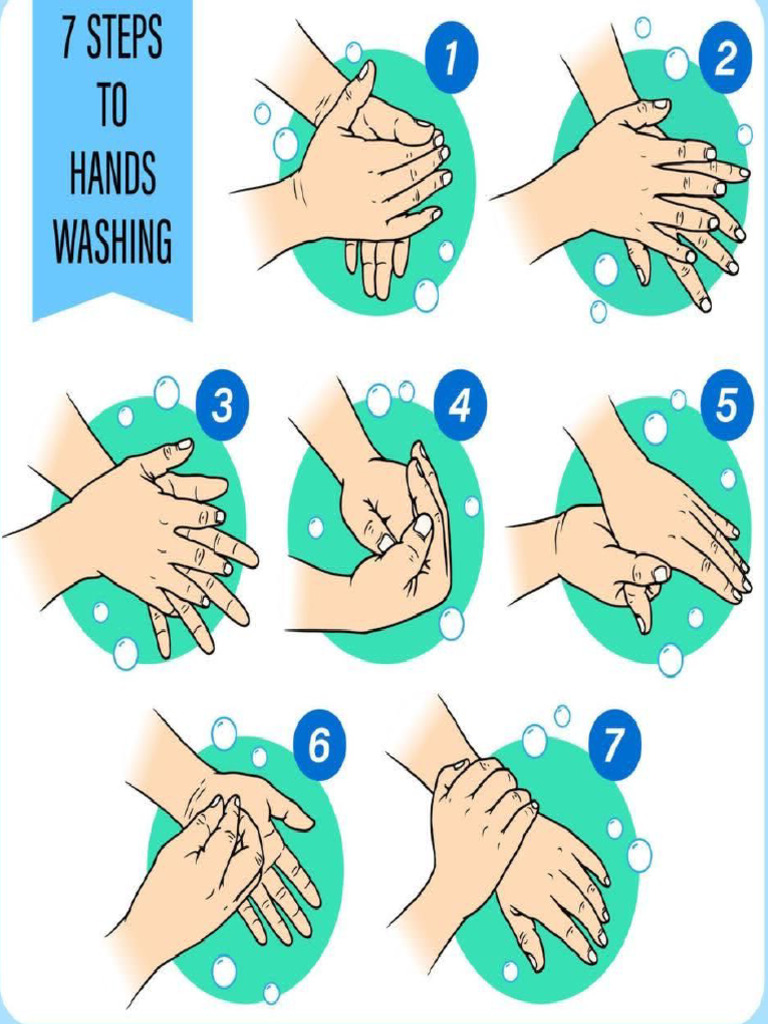 7 Steps Washing Our Hands | PDF