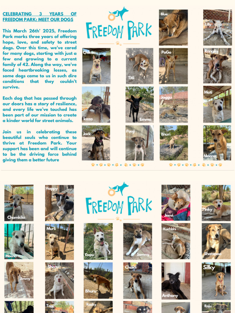 Freedom Park | PDF