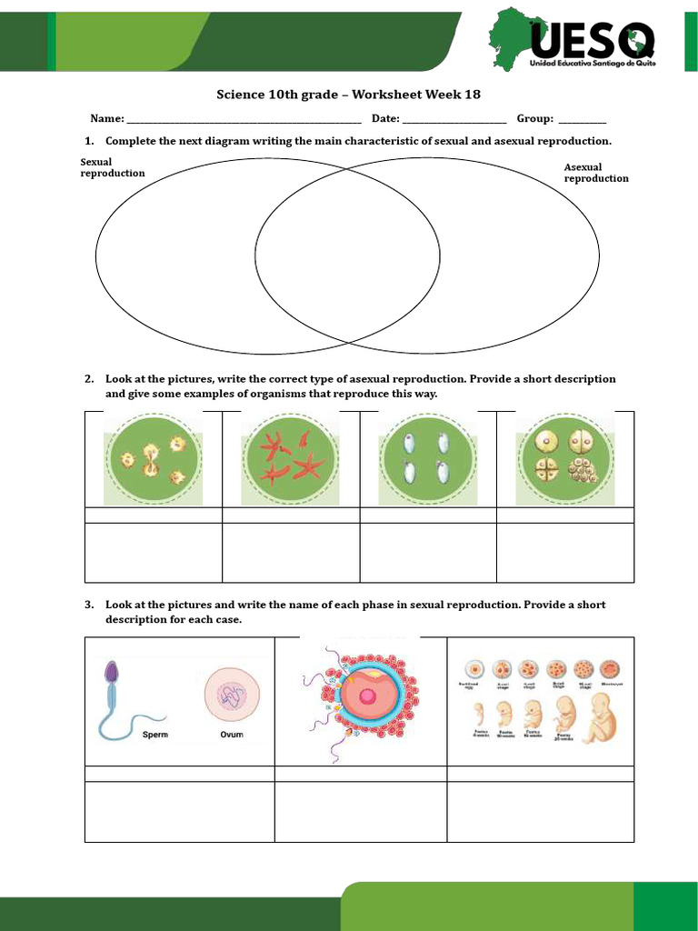 Worksheet 1 Week 18 | PDF