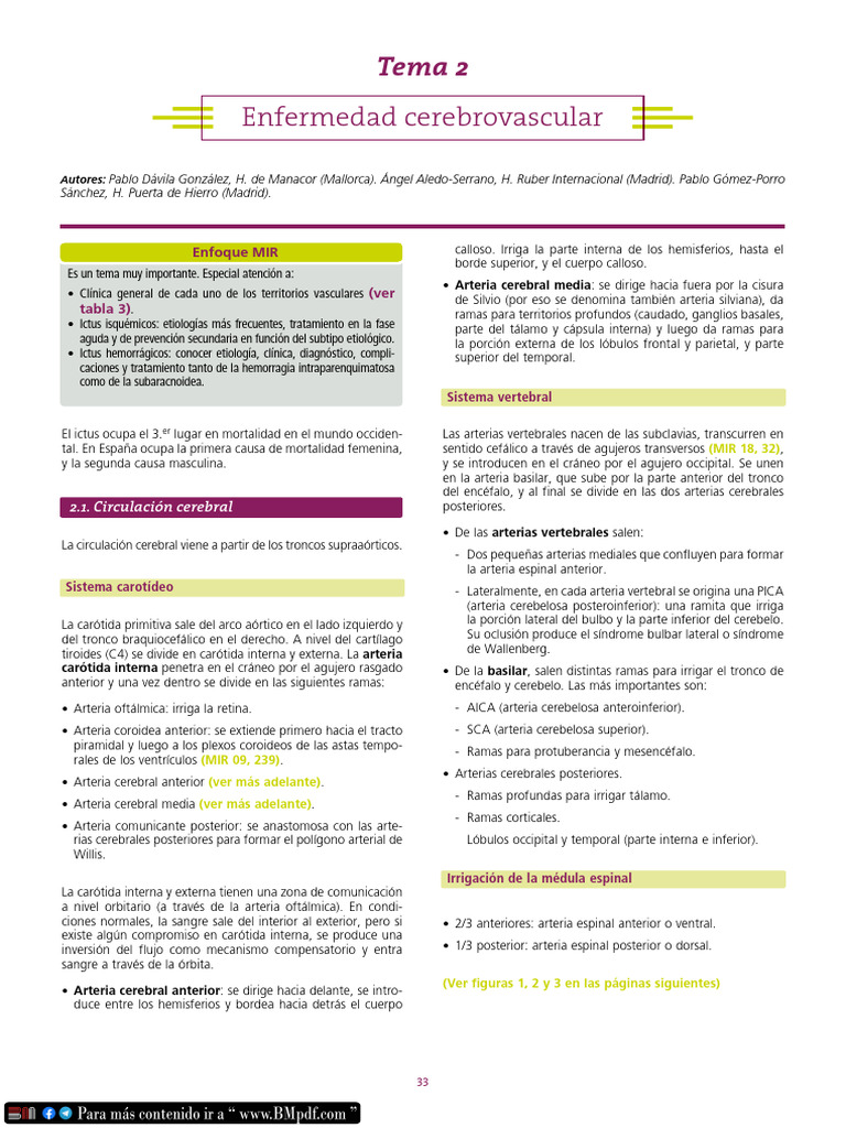 Enfermedad Cerebrovascular | PDF | Carrera | Isquemia