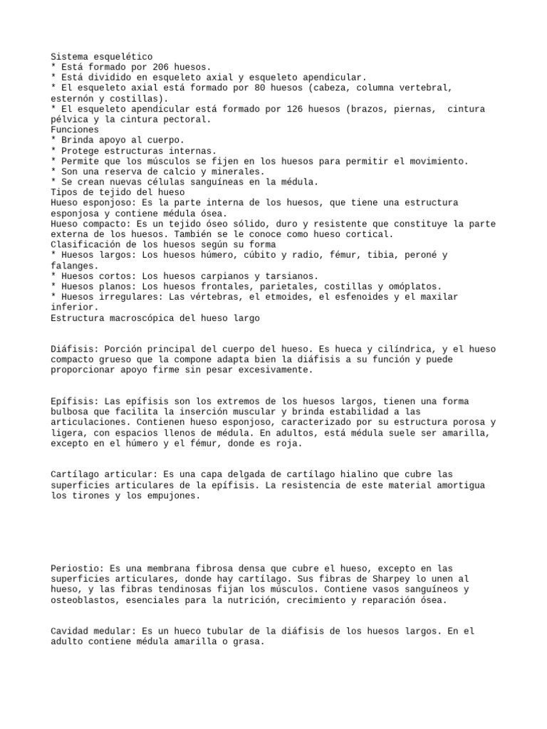 Repaso Anatomía Pdf Hueso Esqueleto