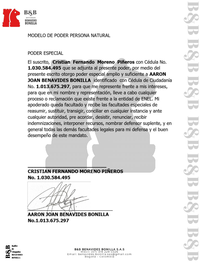 Modelo de Poder Persona Natural C | PDF
