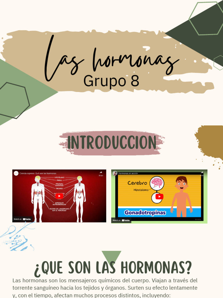 Funciones y Tipos de Hormonas en el Cuerpo | PDF | Hormona | Hormona ...