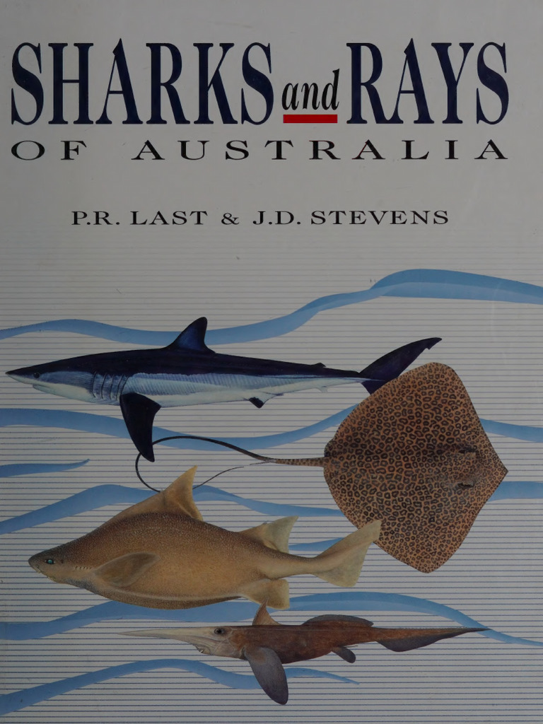 Sharks and Rays Identification Guide | PDF | Taxonomy (Biology ...