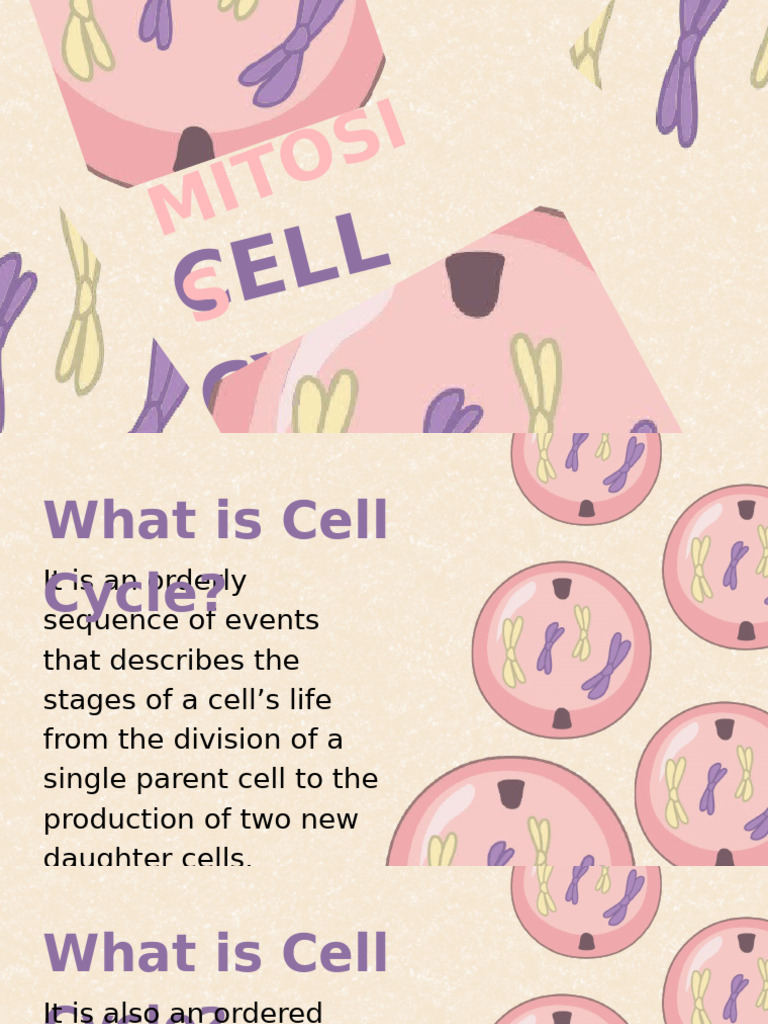 Understanding the Cell Cycle and Mitosis | PDF | Mitosis | Systems Biology
