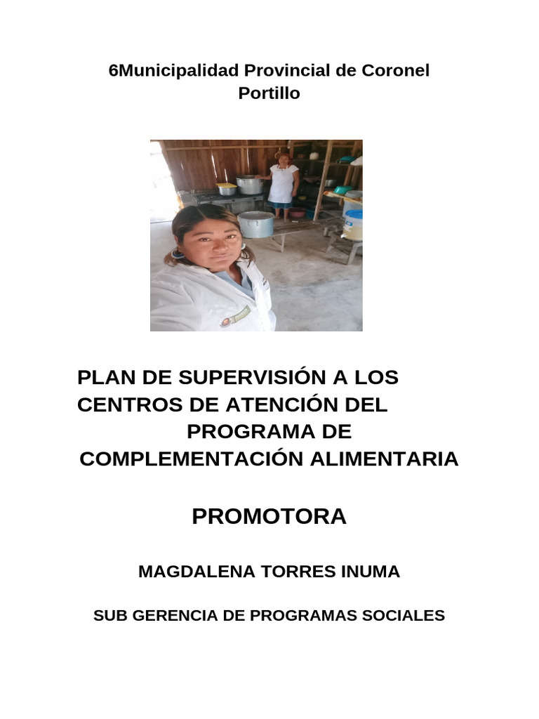 PLAN PROMOTORES PCA DE Abril Mayo Junio | PDF