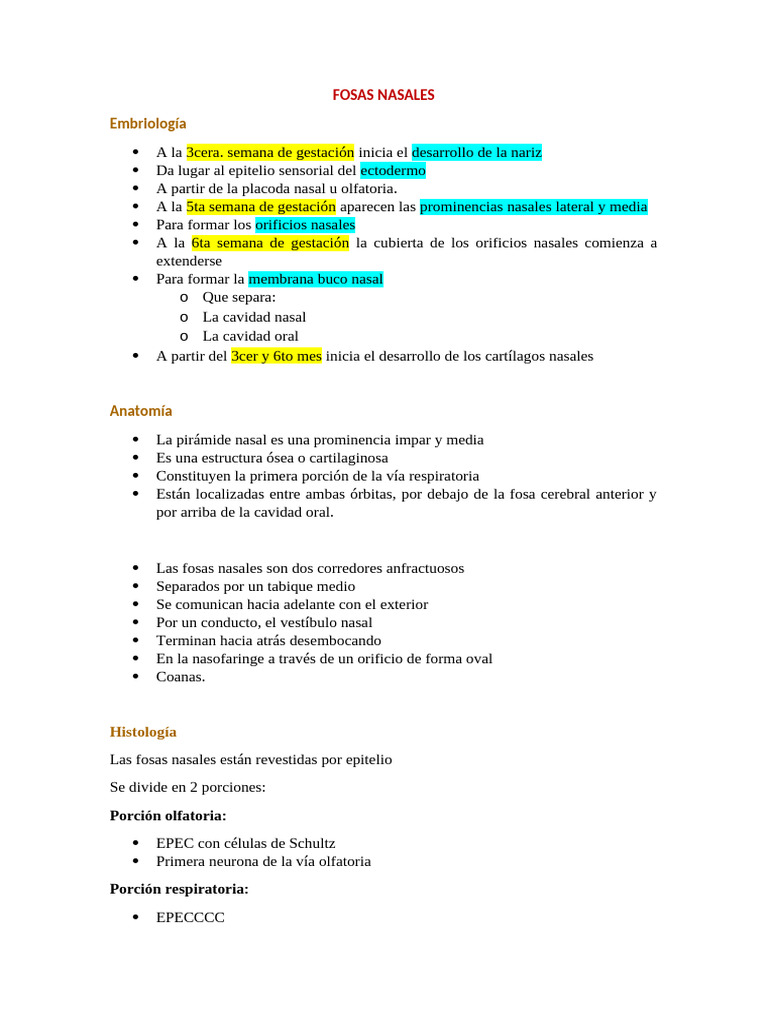 Anatomía y desarrollo de fosas nasales | PDF | Nariz humana | Rinología