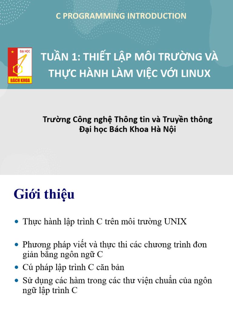 CIntro-week01-vi | PDF