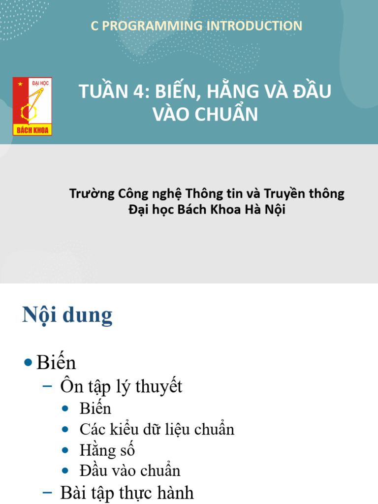 CIntro Week04 VI | PDF