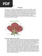 Parts of A Flower and Its Functions | PDF | Flowers | Petal