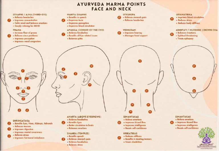 Marma Points of Head and Face | PDF