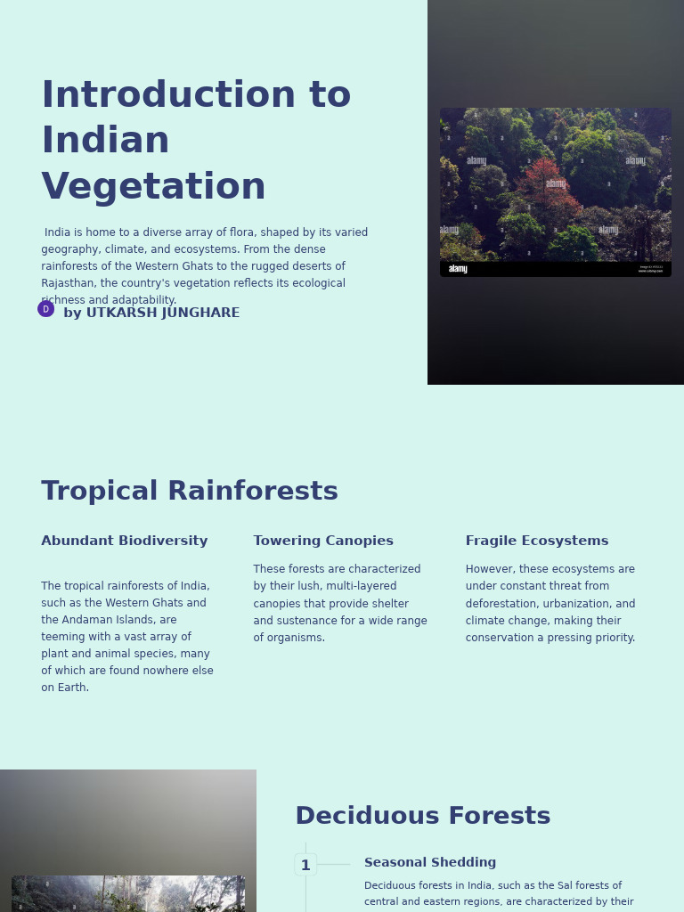 Overview of Indian Vegetation Types | PDF | Forests | Mangrove