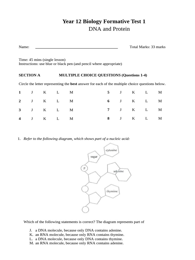 DNA and Protein - Formative 1 Questions | PDF | Dna | Cell (Biology)
