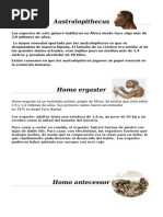 Dryopithecus | PDF | Hominidae | Homo Sapiens