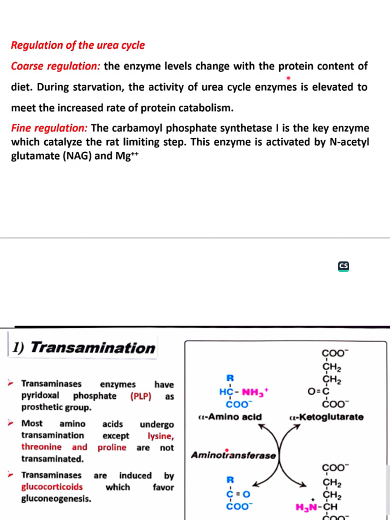 Protein 2-1 | PDF