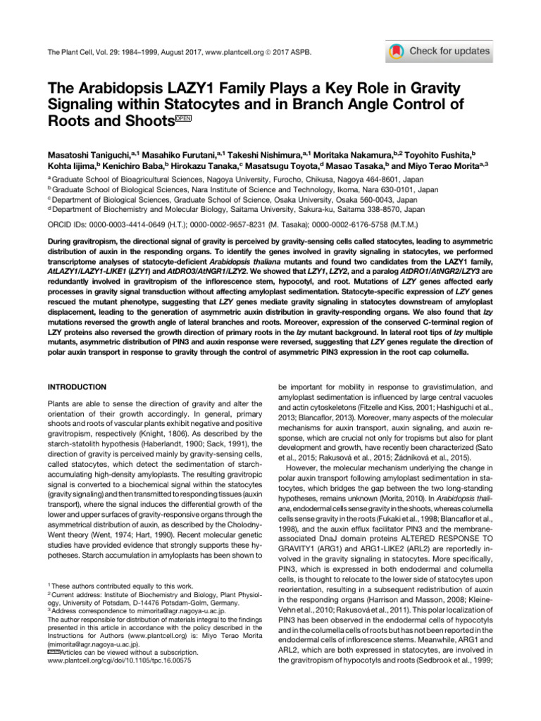 The Arabidopsis LAZY1 Family Plays A Key Role in Gravity - Plant Cell ...
