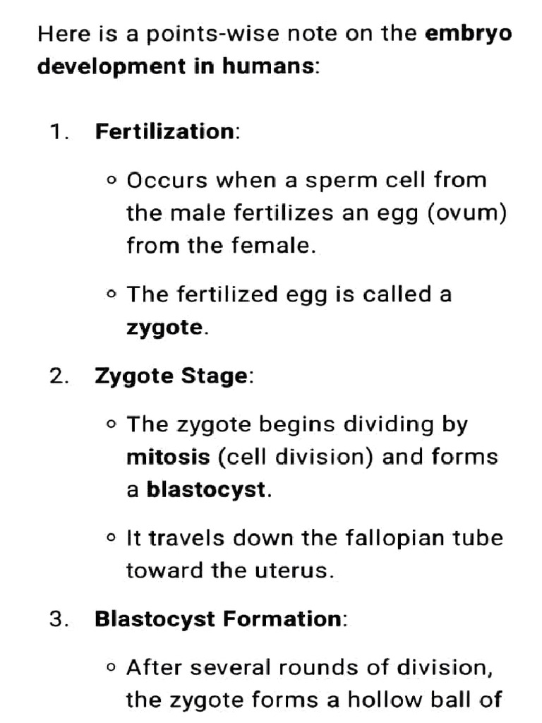 Implementation of Embryo in Human | PDF | Embryo | Uterus