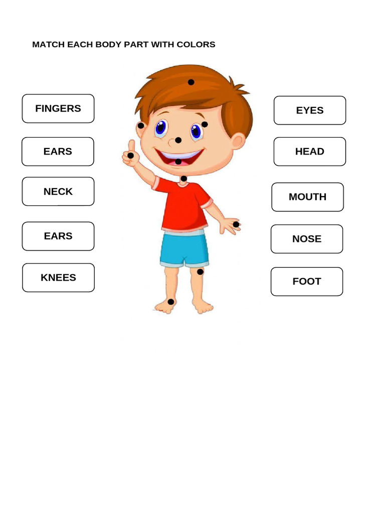 Body Parts Color Matching Guide | PDF