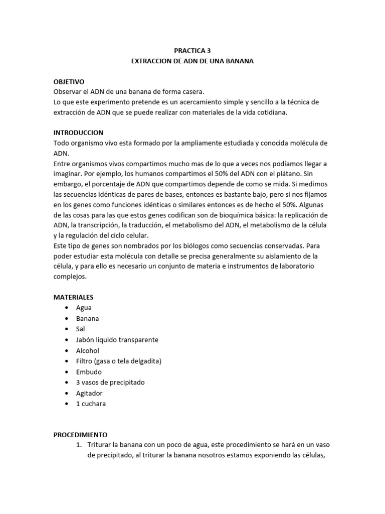 Practica 3 Extraccion de Adn | PDF | Adn | Biología Celular)