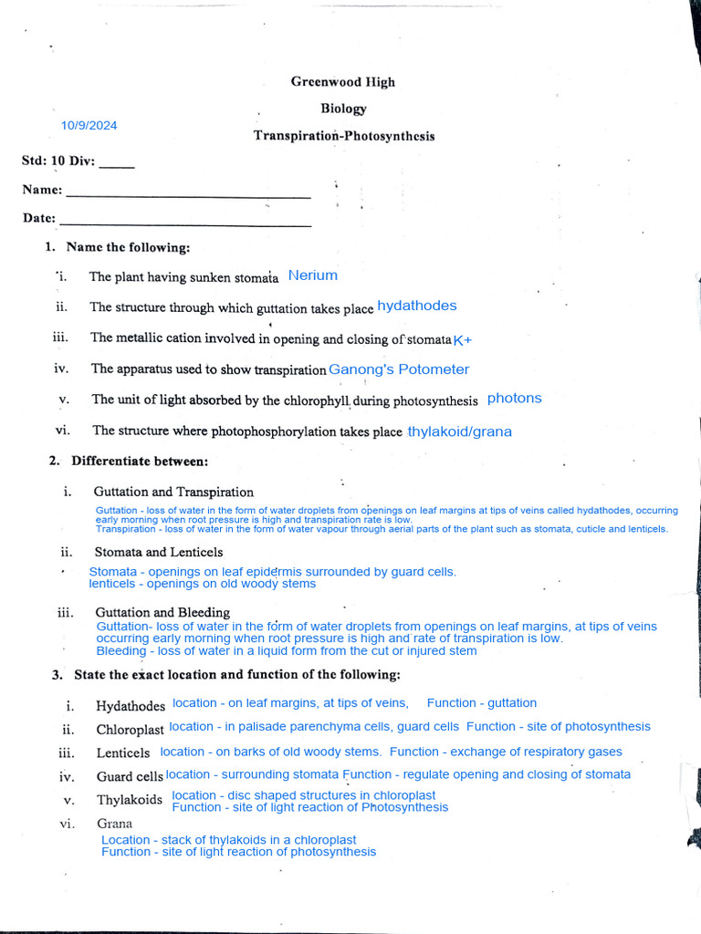 Transpiration and Guttation in Plants | PDF | Stoma | Leaf