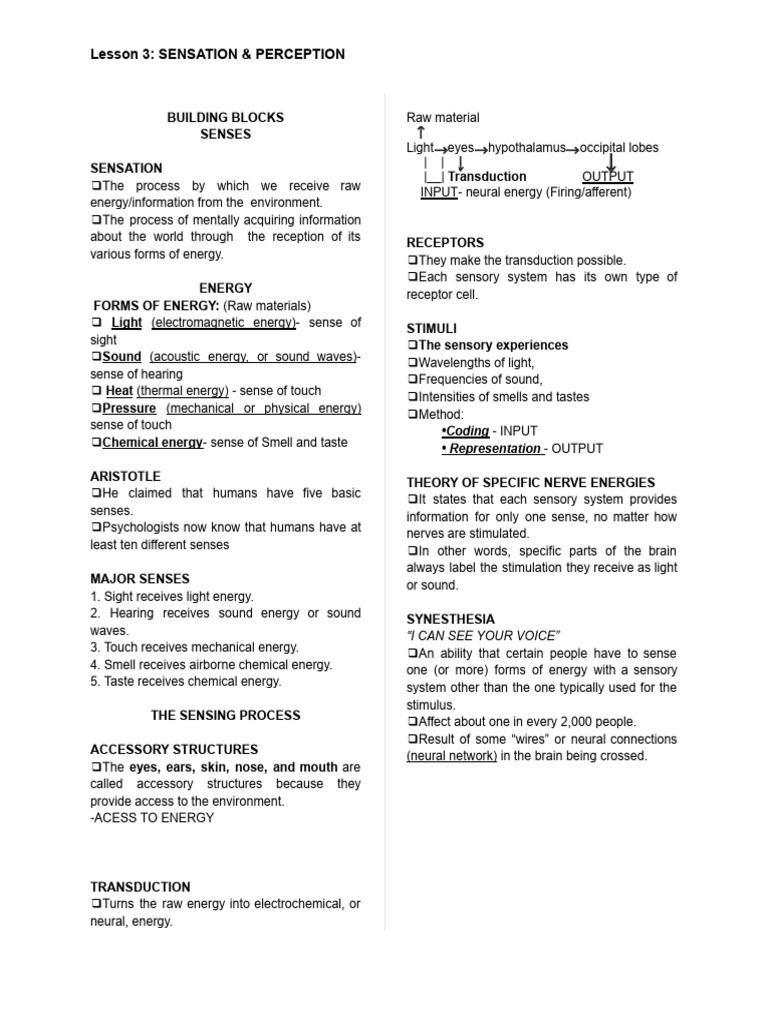 Building Blocks Senses | PDF | Senses | Ear