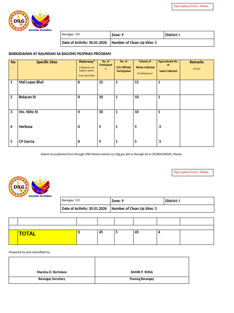 KALINISAN SA BAGONG PILINAS PROGRAM - Data Capture Form | PDF