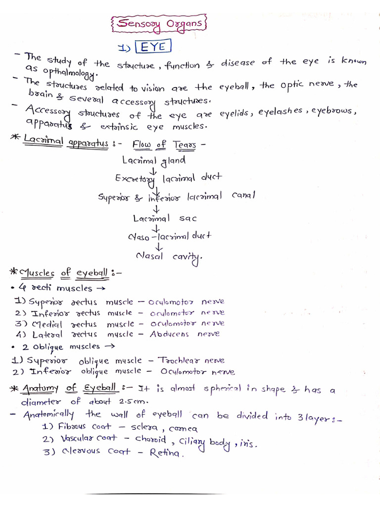 Anatomy Paper2 | PDF