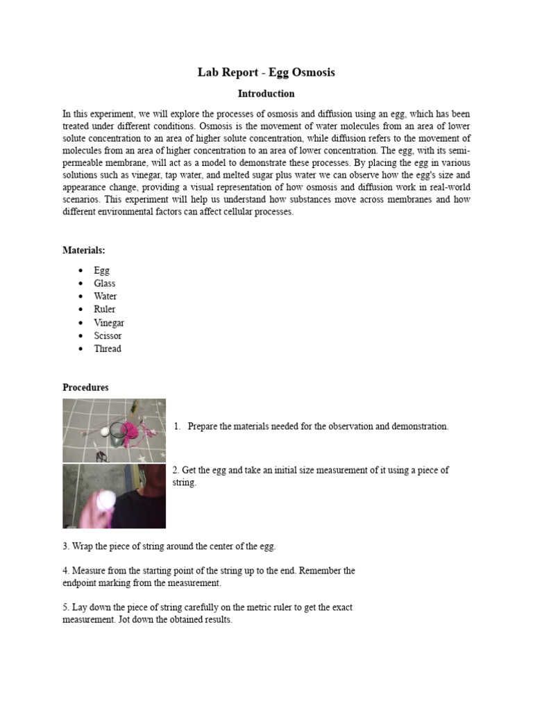 lab report-egg osmosis_G2 | PDF | Osmosis | Chemistry