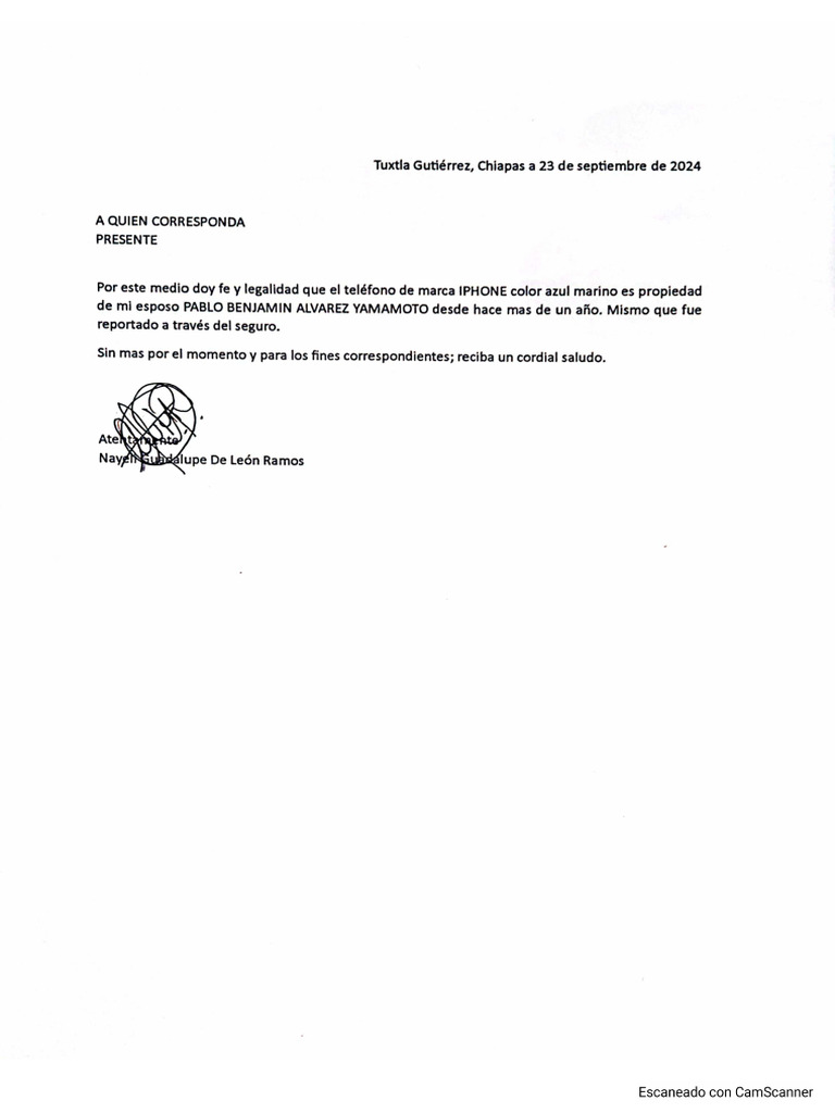 Carta Testigo | PDF