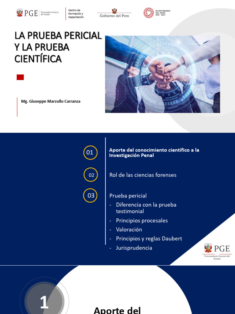 Ejemplo de Prueba Pericial Psicológica | PDF