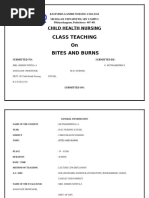 Schmidt Insect Sting Pain Index Chart | PDF