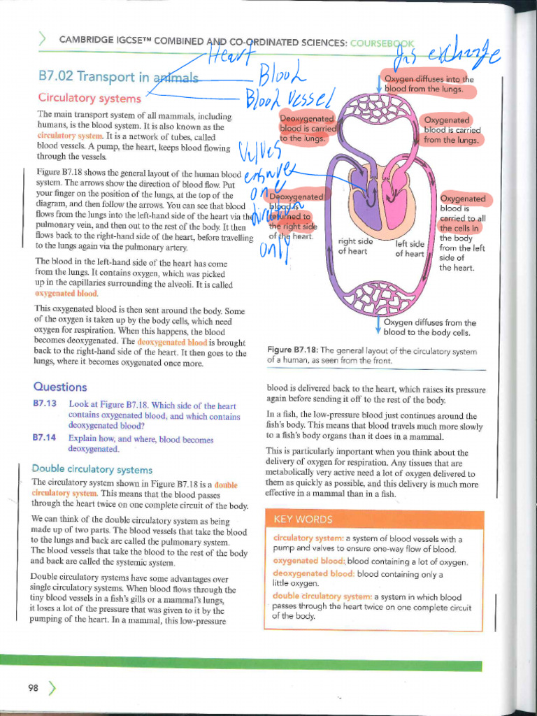 Bio Chapter 8-9 Notes | PDF