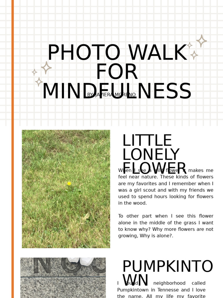 Photo Walk For Mindfulness | PDF