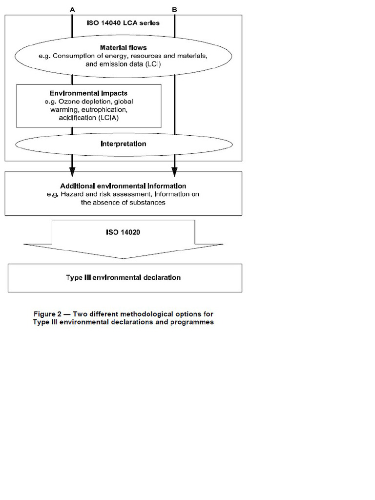 Wnvironment Declaration | PDF