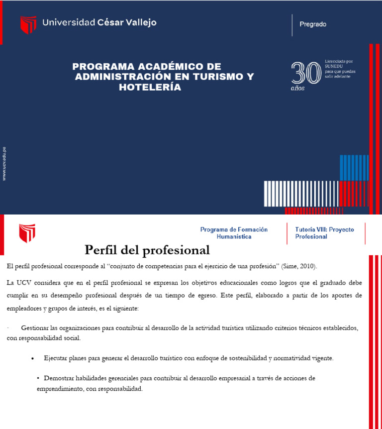 Perfil Del profesional-UCV | PDF