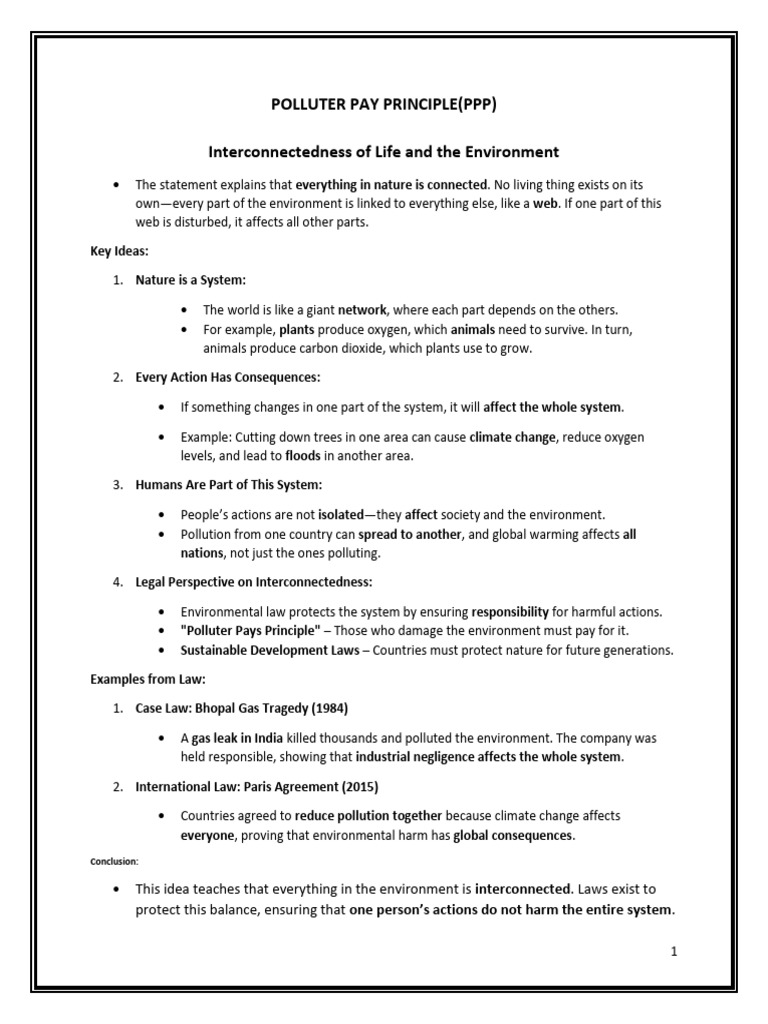 Understanding the Polluter Pays Principle | PDF | Environmental Law ...