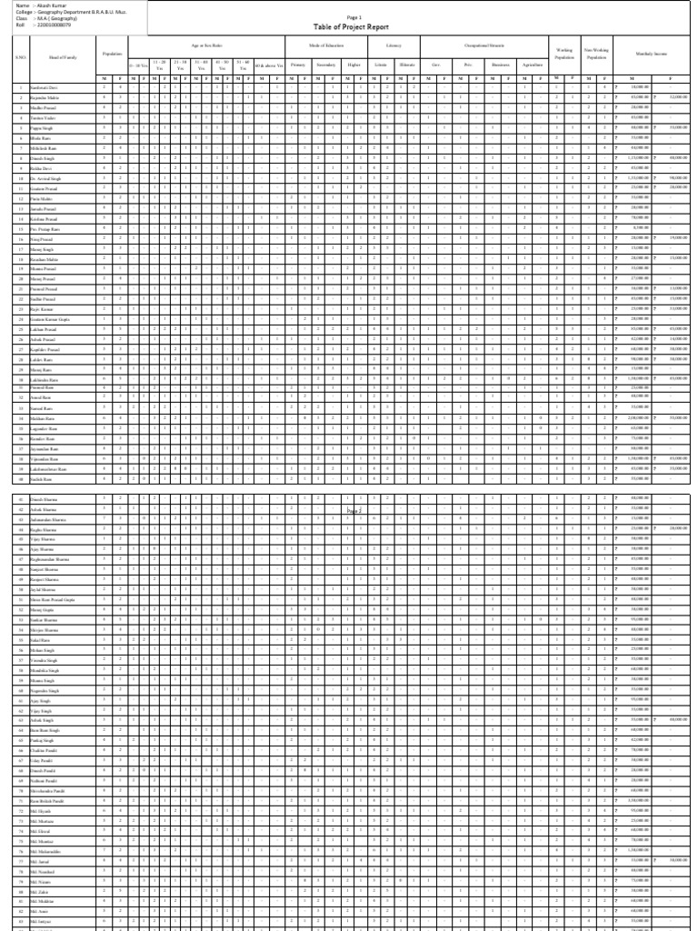 Projet Report Akash KUMAR | PDF | Symbols | Typographical Symbols