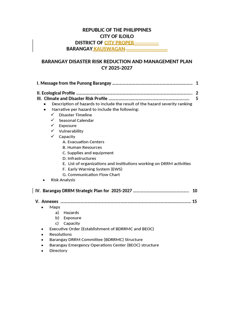 BDRRM Plan 2025 2027 v5 - 1 | PDF | Hazards | Risk