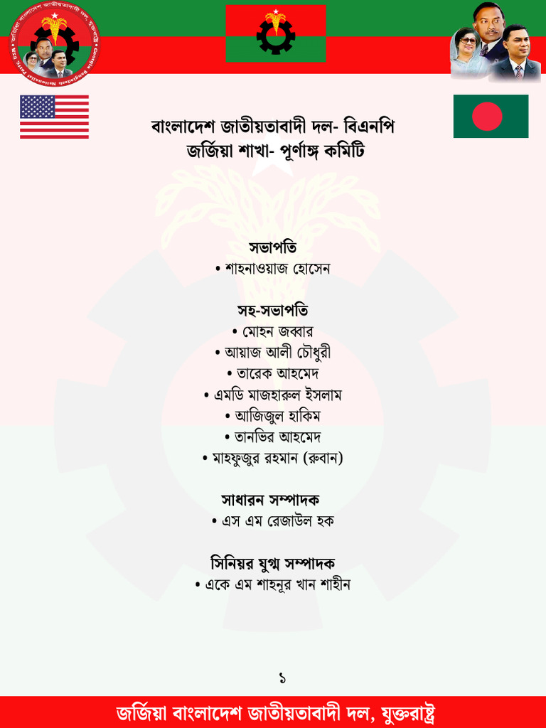 BNP Committe List | PDF