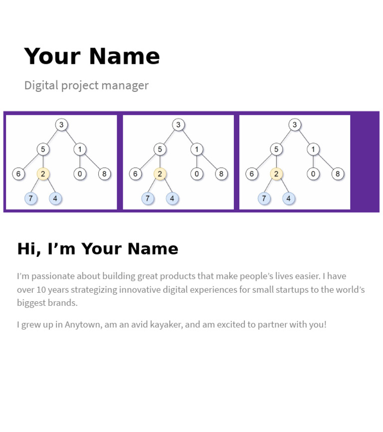 Digital Project Manager Profile | PDF