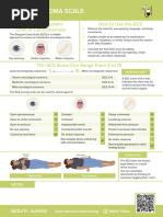 Glasgow Coma Scale Assessment Chart | PDF