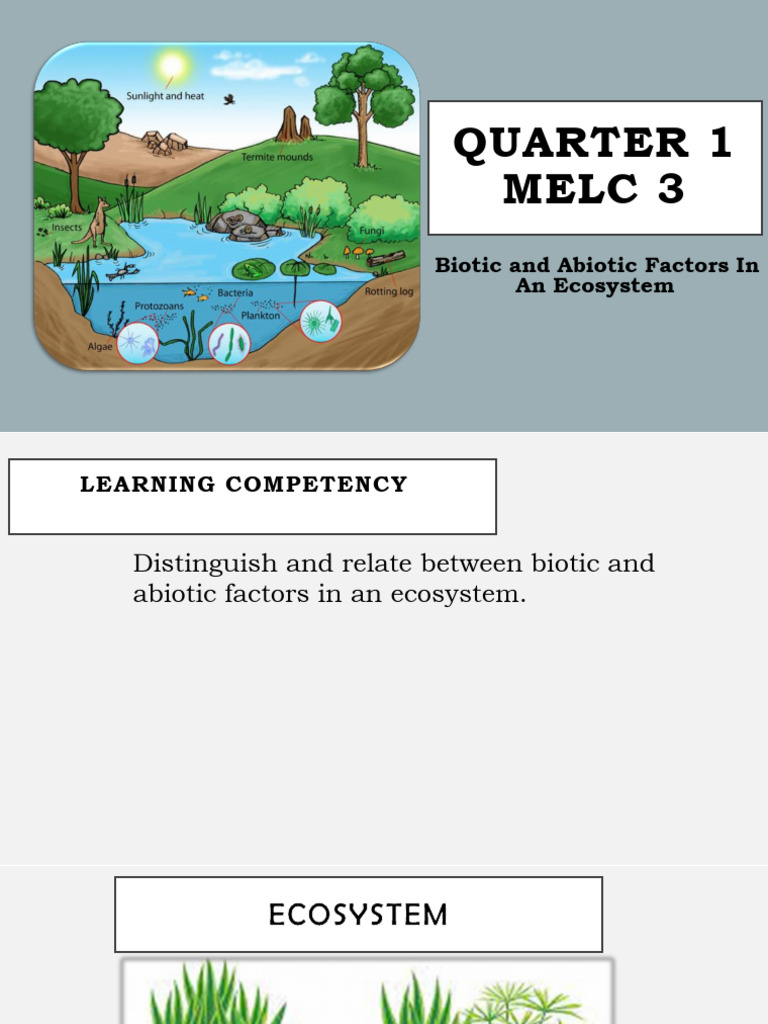 Biotic vs Abiotic Factors in Ecosystems | PDF