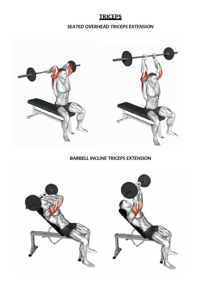 Triceps, Forearm, and Shoulder Exercises | PDF