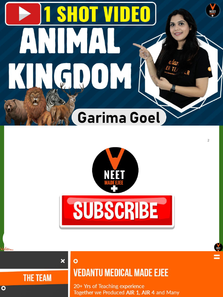 13.1.20202 Animal Kingdom - Oneshot Video | PDF | Zoology