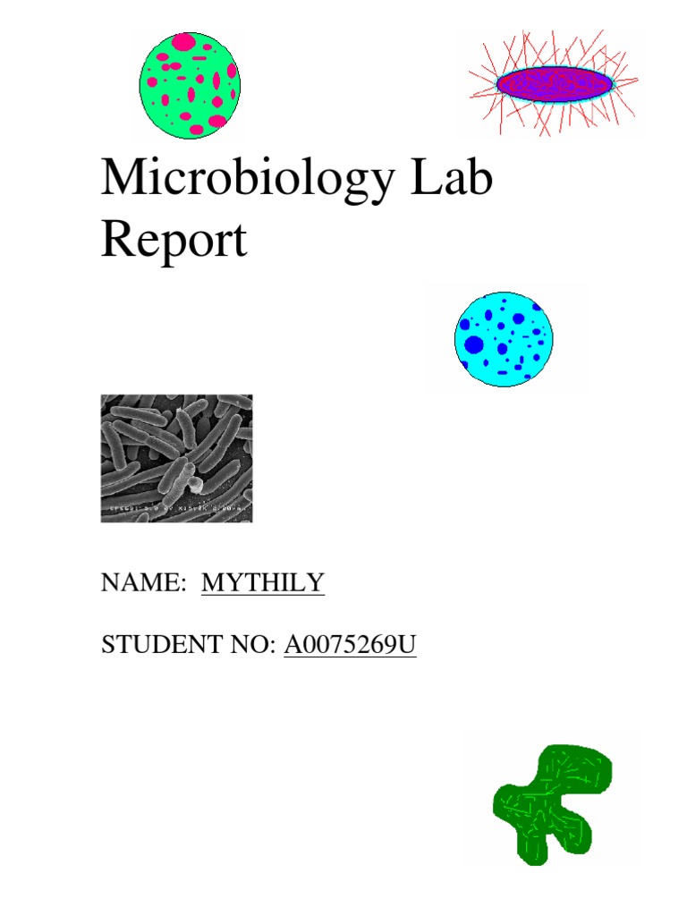 Microsoft Word - Microbiology Lab Report | PDF | Colony Forming Unit ...