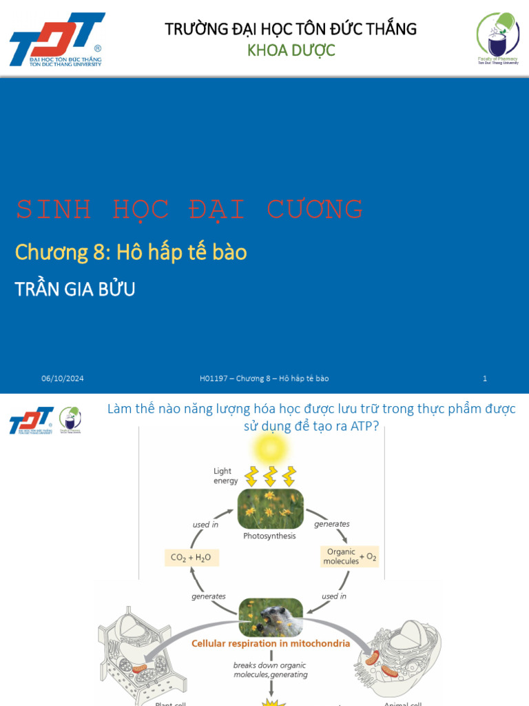 SHDC Chương 8 | PDF
