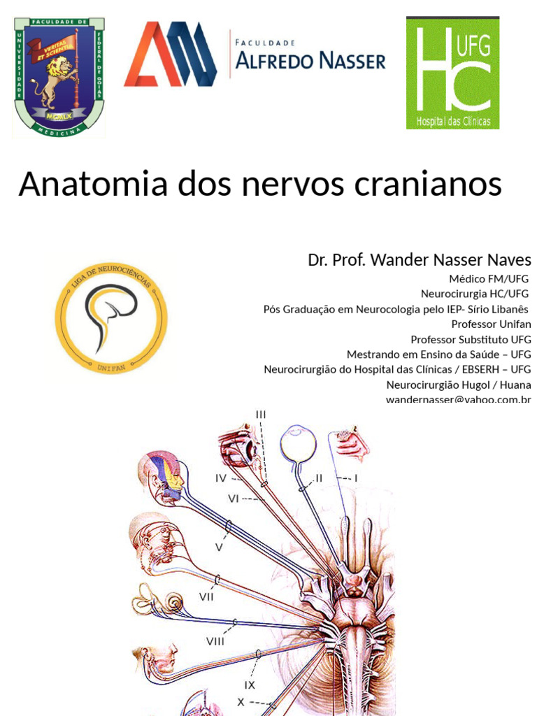Anatomia - Pares Cranianos Resumido | PDF | Neurociência | Anatomia